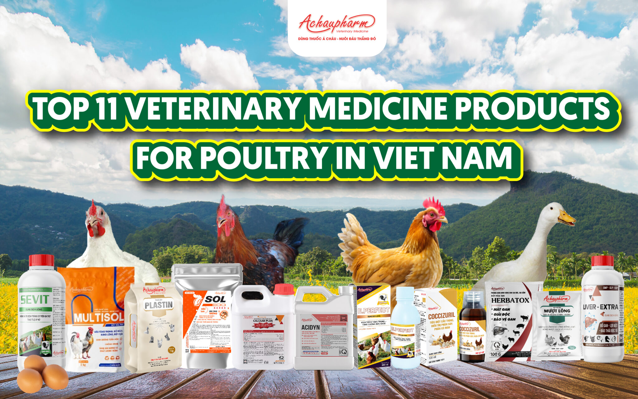 Top 11 veterinary medicine products for Poultry in Vietnam
