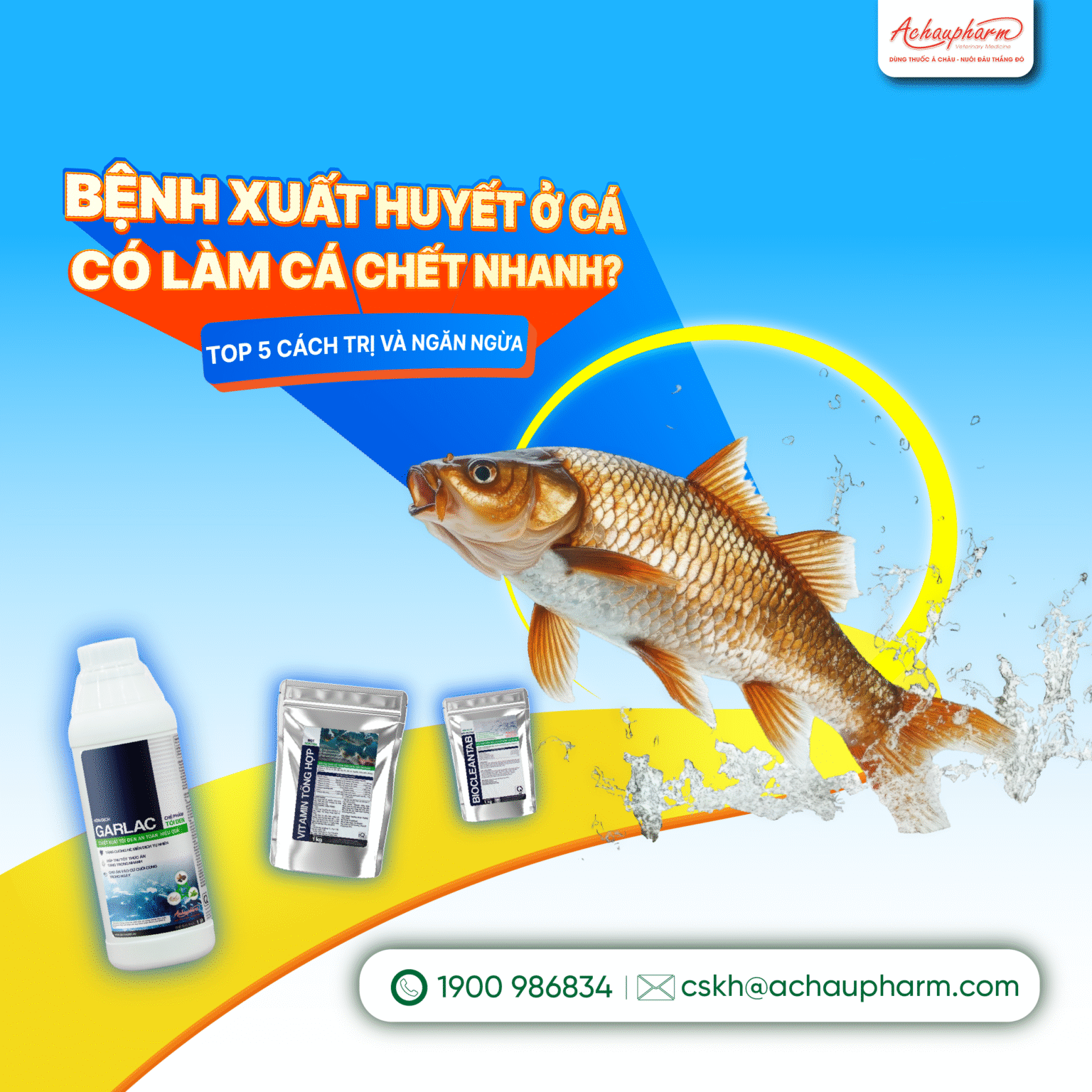 Cá bị bệnh xuất huyết bao lâu thì chết? | 5 câu trả lời quan trọng ...